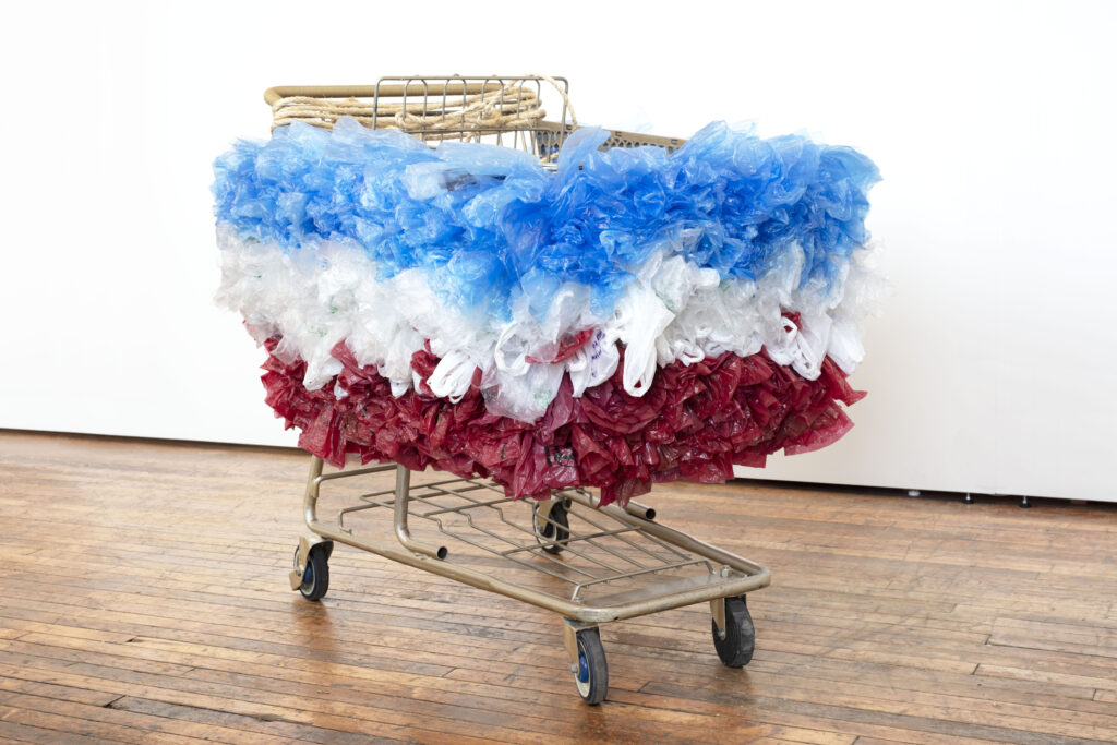 ‘Merica: Emotional Baggage Cart – Theda Sandiford